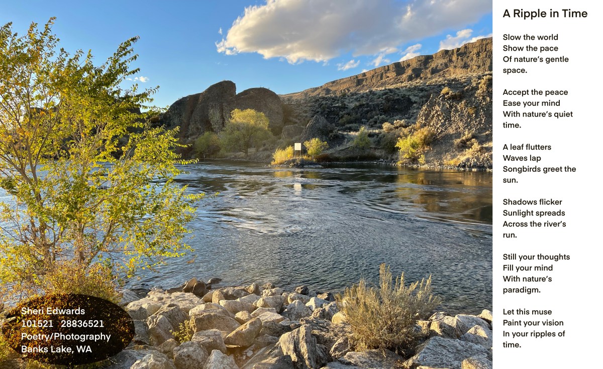 Day 582 Ripple in Time – 1DR What Else?