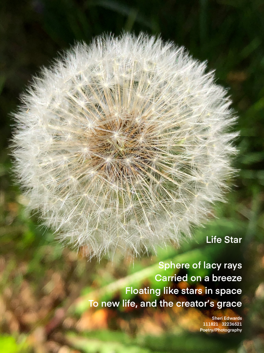 Life Star – 1DR What Else?