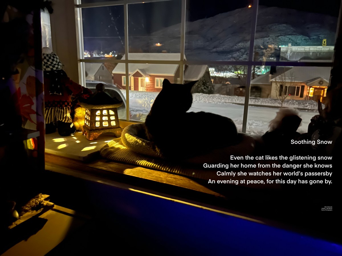 Soothing Snow – 1DR What Else?