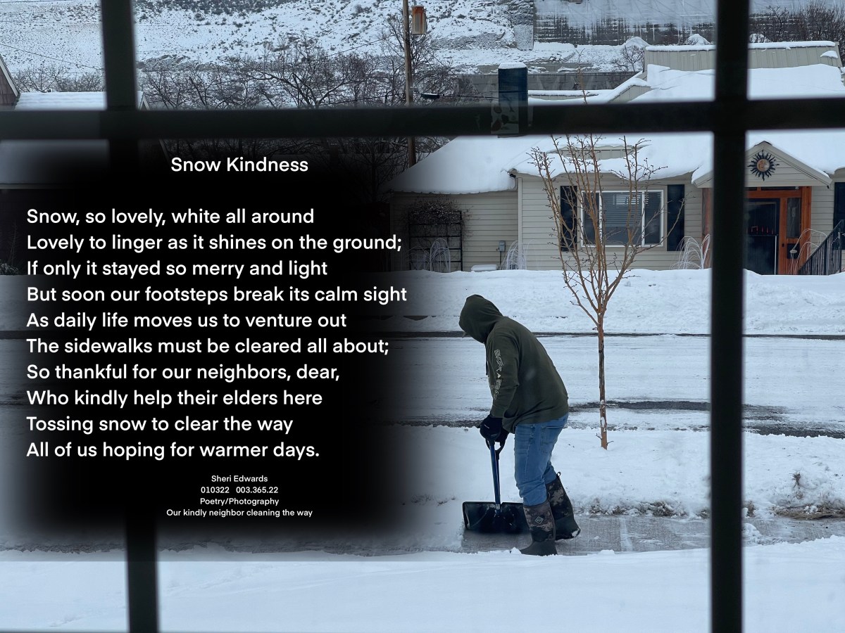 Snow Kindness – 1DR What Else?