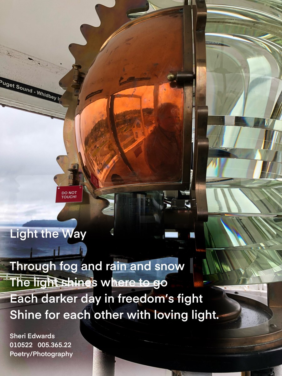 Light the Way – 1DR What Else?